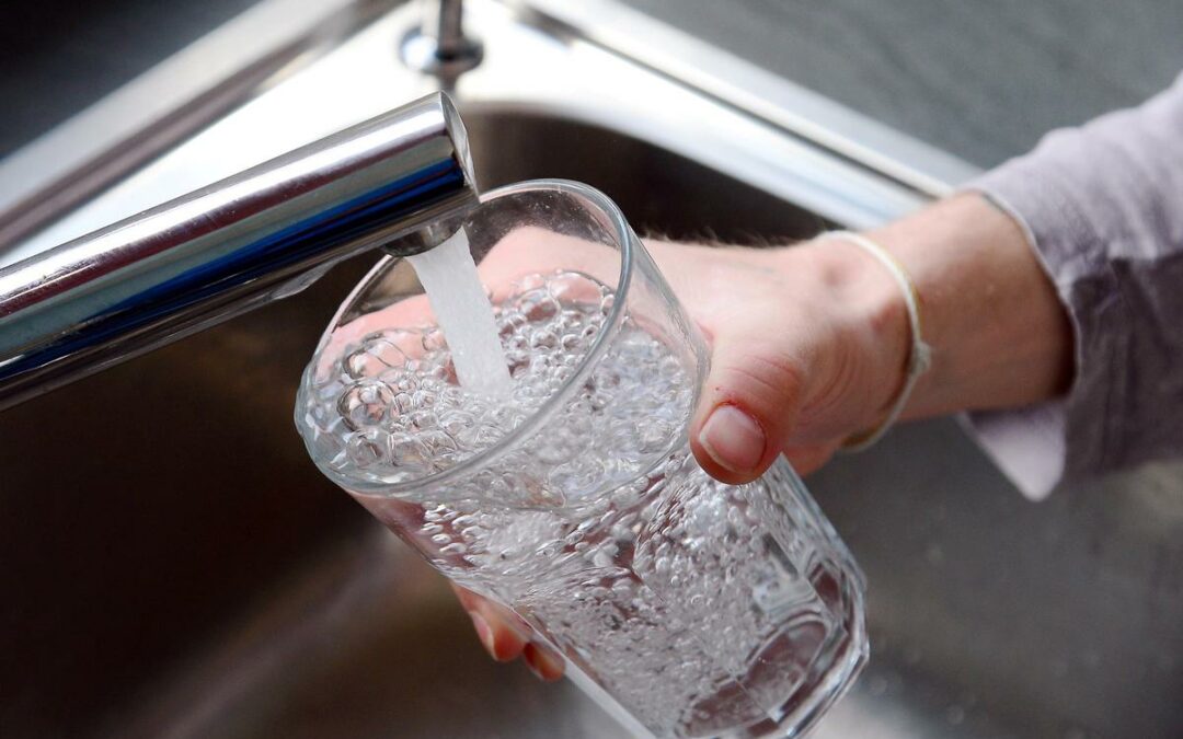 Evodrop descalcifica con ácido málico - Evodrop