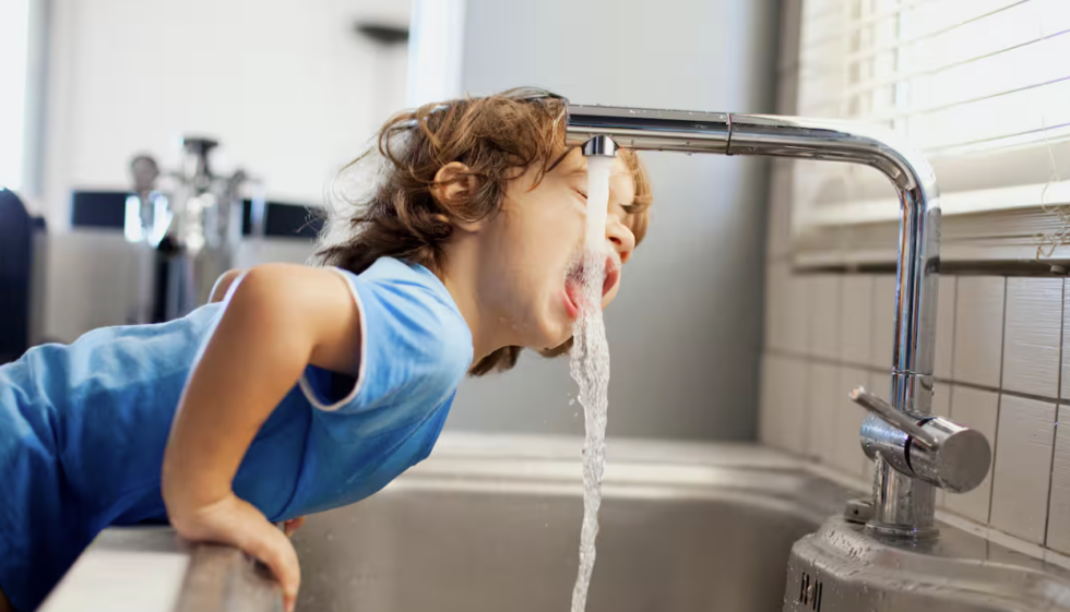 Agua potable suiza: ¿De dónde procede? ¿Quién controla su calidad? - Evodrop